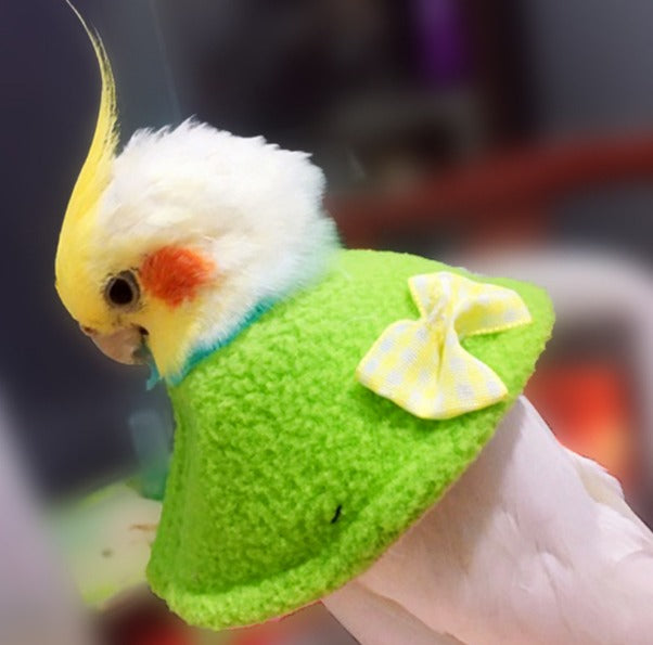 Shop Colorful and Comfortable Elizabethan Collars for Birds ...