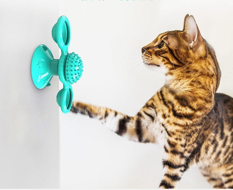 Wholesale Windmill Cat Turntable Toy | Interactive Play Toys – Feisuo Pet